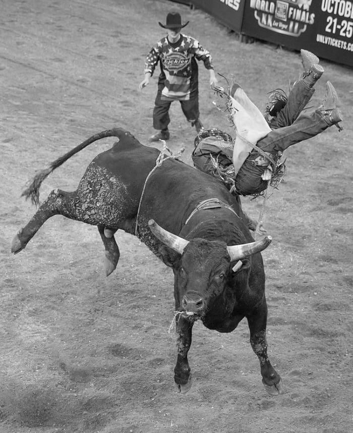 Professional Bull Riders at Madison Square Garden - Sports Illustrated