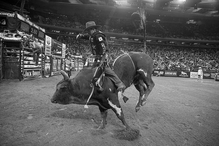 Professional Bull Riders at Madison Square Garden - Sports Illustrated