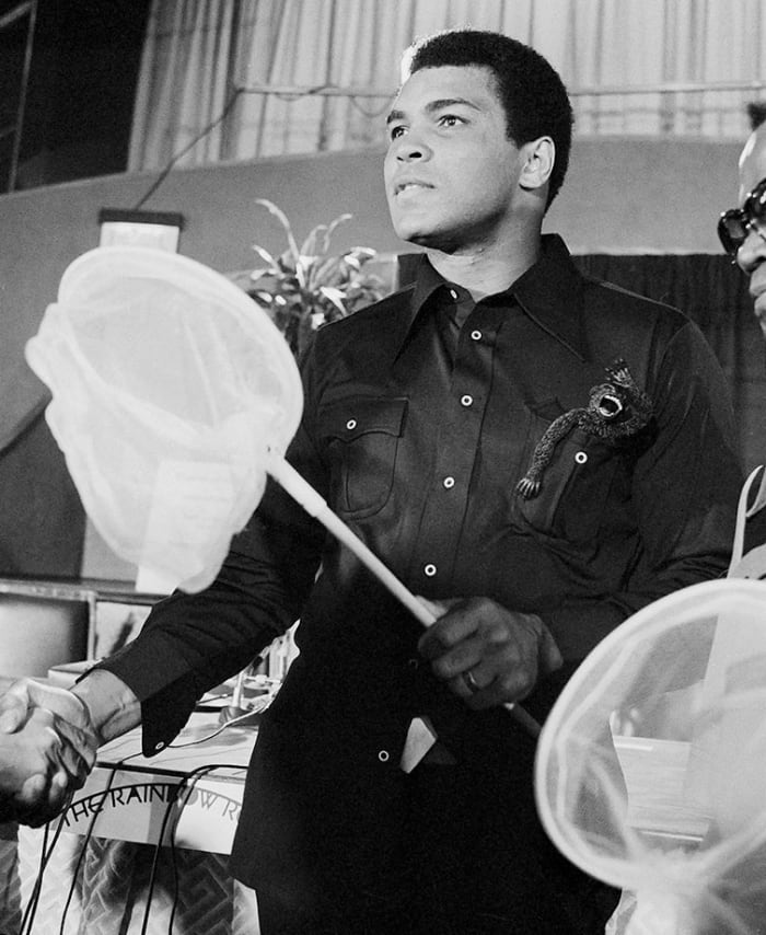 Thursday's PM Hot Clicks: Bar Refaeli; Sorority's selfie clinic ...