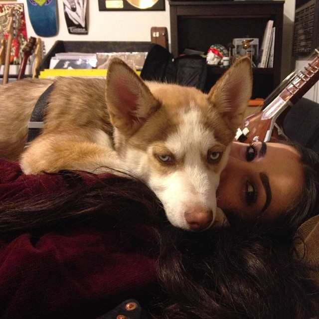 Tony Hawk continues to cash in on his skateboarding fame - Sports ...