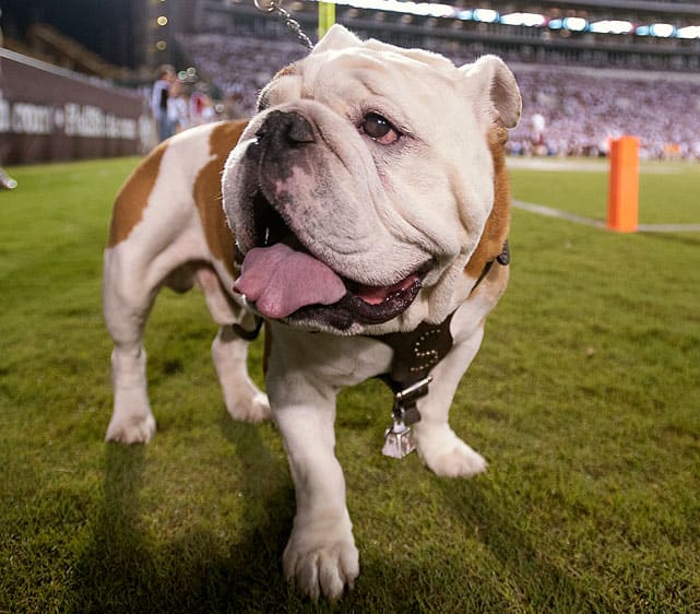 NCAA's Top Real Animal Mascots - Sports Illustrated