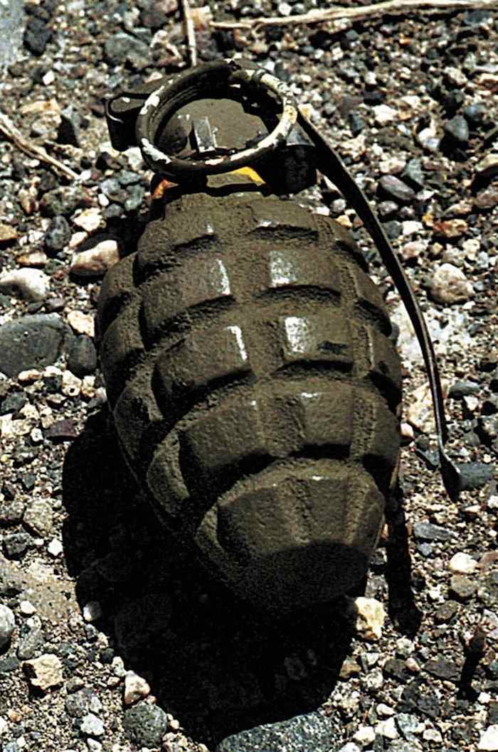 What happens when you spend a weekend with Alabama football fans ...