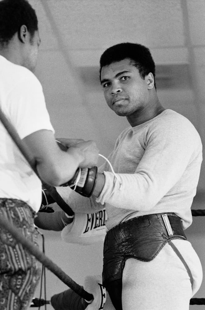 Fitness Foremost: A beginner's guide to starting your own workout ...