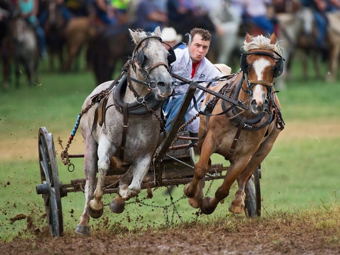 National Chuckwagon Race Championship - Sports Illustrated