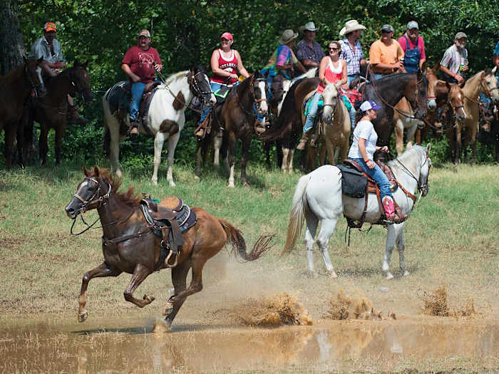 National Chuckwagon Race Championship - Sports Illustrated