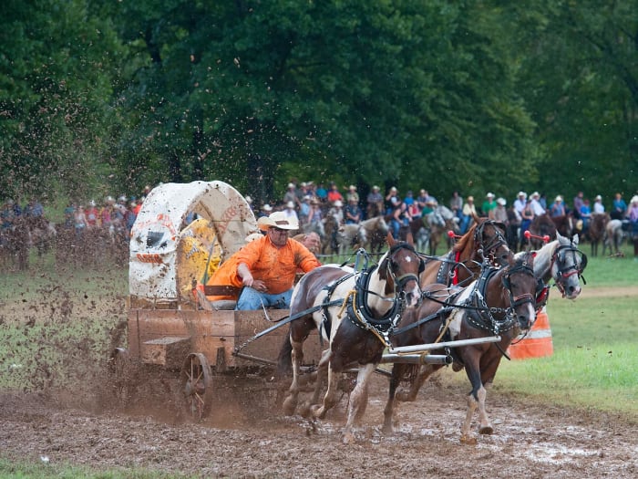 National Chuckwagon Race Championship - Sports Illustrated