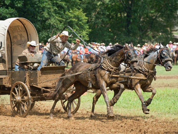 National Chuckwagon Race Championship - Sports Illustrated