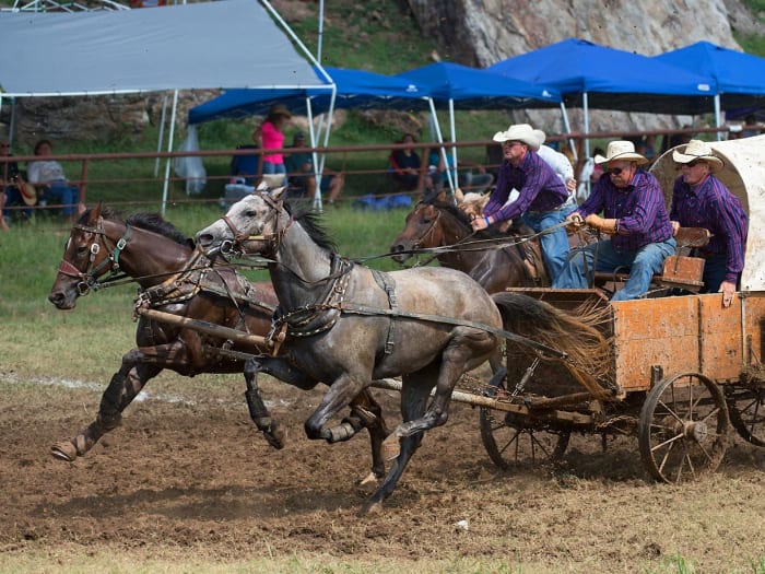 National Chuckwagon Race Championship - Sports Illustrated