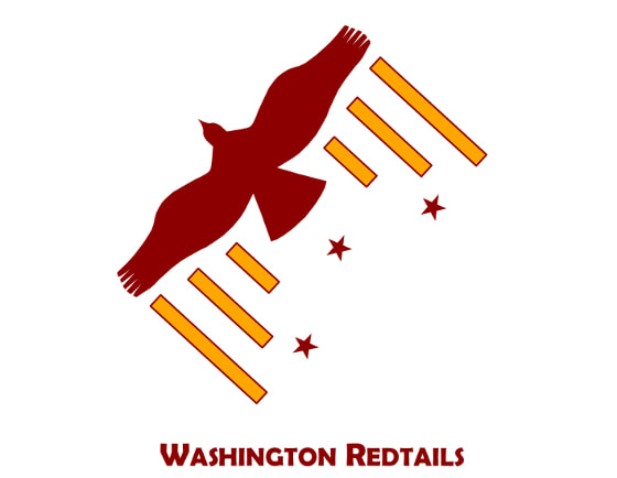 Washington Redskins fan launches website to find new team name and logo ...