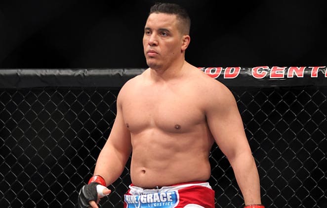 Jeff Wagenheim: After UFC stint, Pat Barry returns to his first love ...