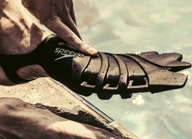 Speedo's new swim fin design was inspired by humpback whales - Sports ...