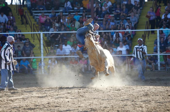 Angola Prison Rodeo - Sports Illustrated