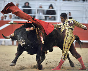 Matadors (Related Stories) - Sports Illustrated