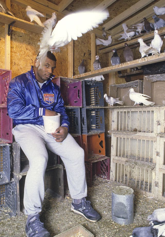 Mike Tyson and Pigeons - Sports Illustrated