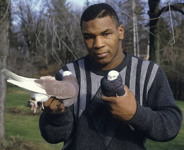 Mike Tyson and Pigeons - Sports Illustrated