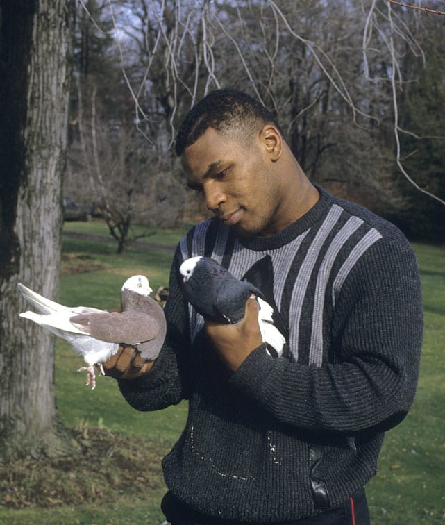 Mike Tyson and Pigeons - Sports Illustrated