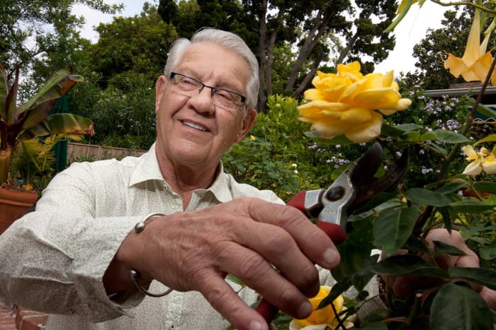 Classic Photos of Alex Karras - Sports Illustrated