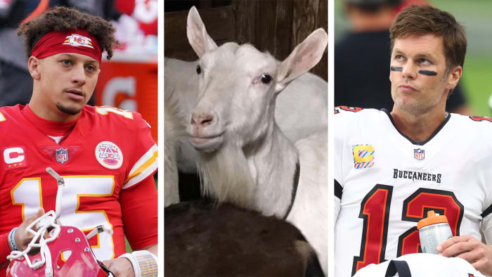 Brady vs. Mahomes: GOATs and goats have more in common than you think ...