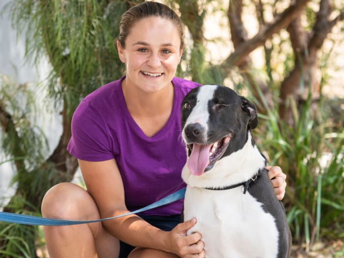 Ash Barty’s ‘wolfpack’ and other athletes’ rescue dogs - Sports Illustrated