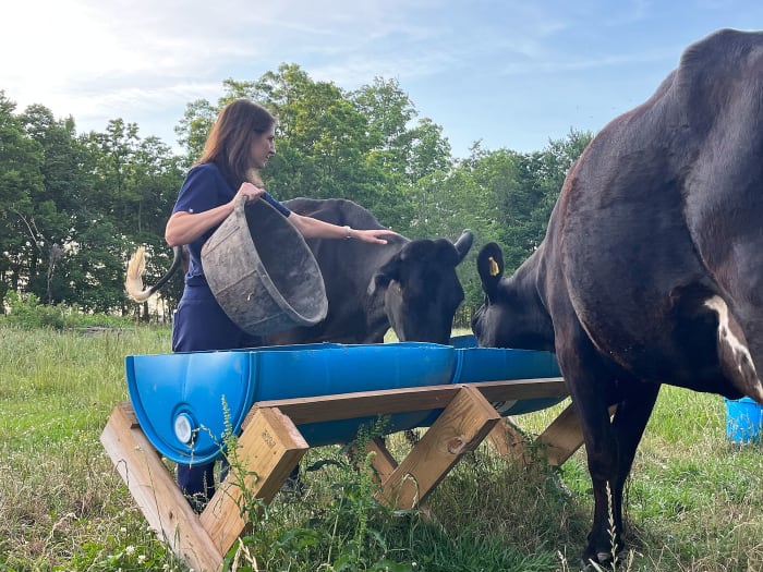 Katie O’Neal’s life as COVID expert, top advisor for SEC football ...