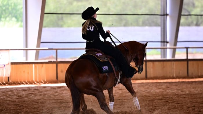 TCU Equestrian: Frogs Top NCEA Poll - Sports Illustrated TCU Killer ...