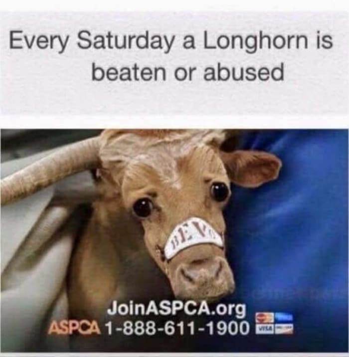 TCU football: All Your UT Memes For Game Day - Sports Illustrated TCU ...