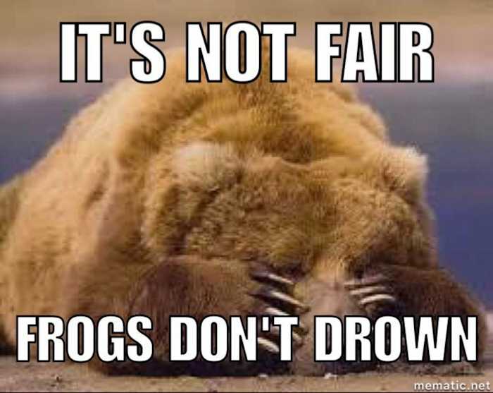 TCU football: All Your Baylor Memes - Sports Illustrated TCU Killer ...