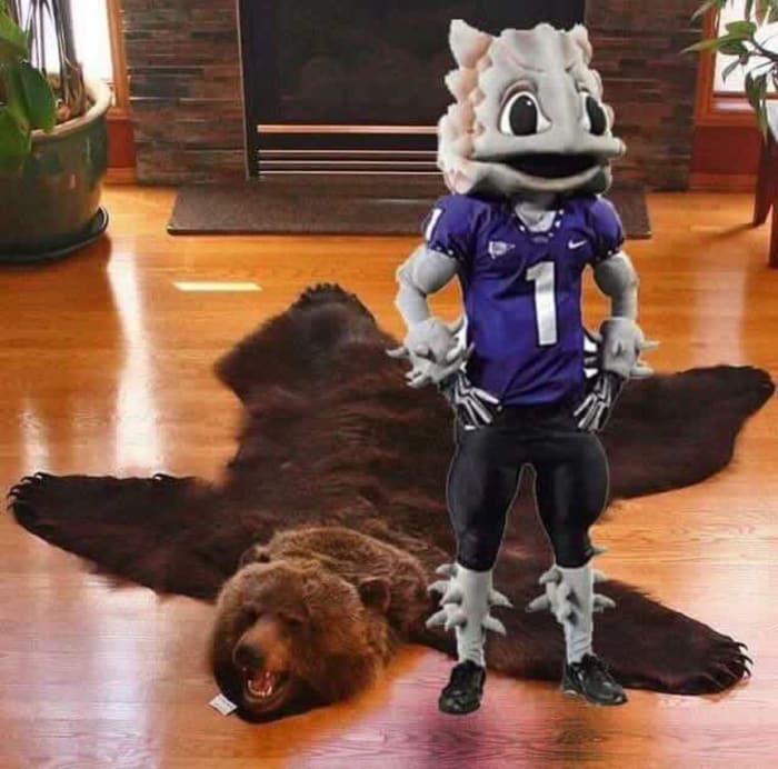 TCU football: All Your Baylor Memes - Sports Illustrated TCU Killer ...