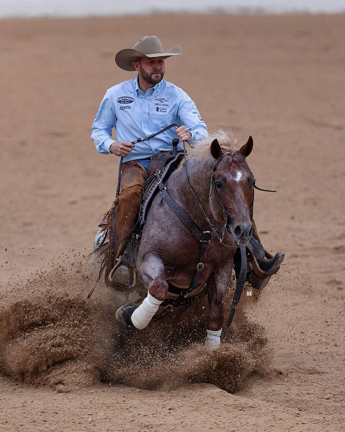 Big Stops, Stellar Spins, Cow Sense: The Reined Cow Horses of The ...