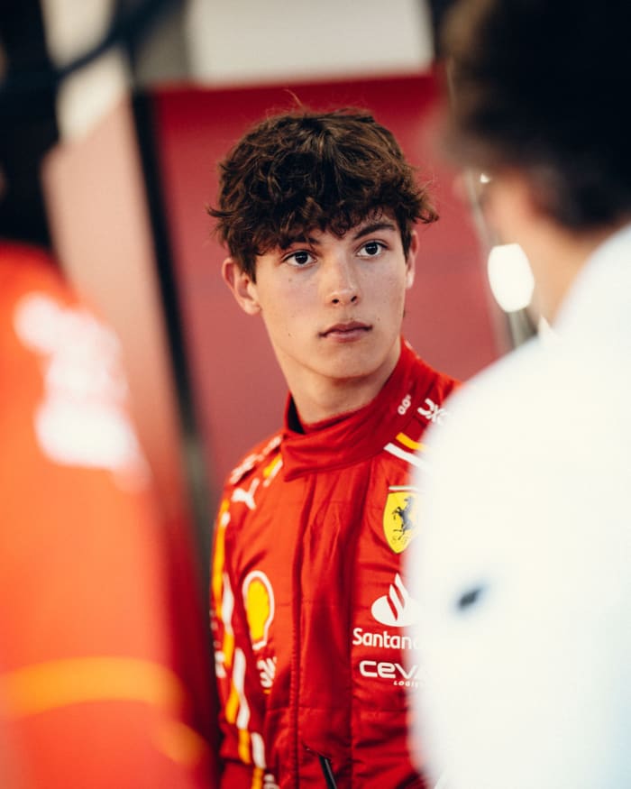 Maddison (30343595) profile | Padlet