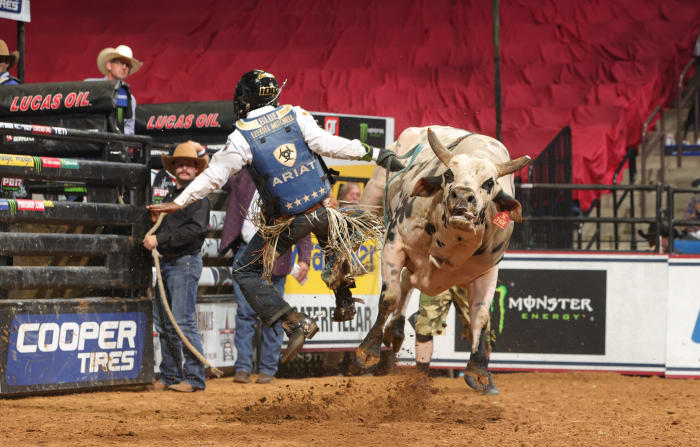 UFC's Dana White Owns a Top PBR Bull, and He is Rank - Sports ...