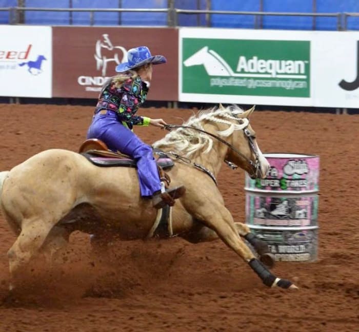 Adios Pantalones Attempting Incredible Feat Few Other Stallions Have ...