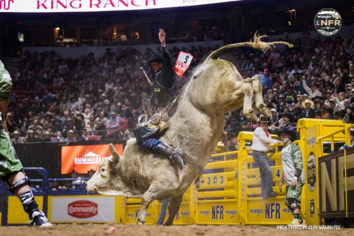 Ky Hamilton's Remarkable Ride in National Finals Rodeo Round 7 Secures ...