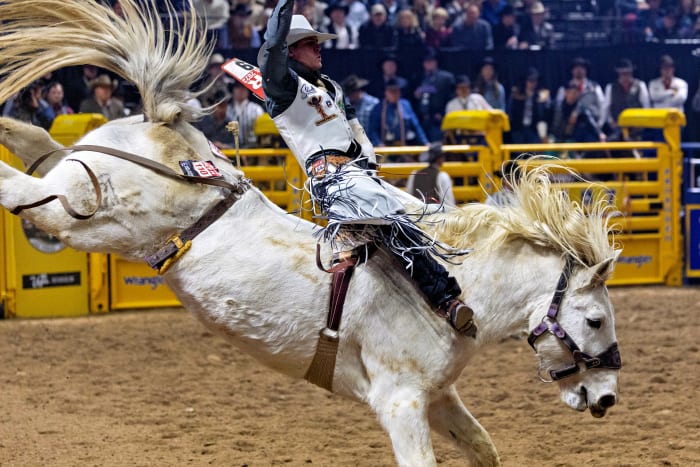 Xplosive Skies Named Top Saddle Bronc Horse at 2023 NFR - Sports ...
