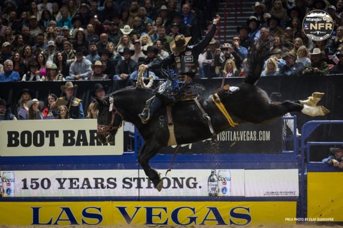 Xplosive Skies Named Top Saddle Bronc Horse at 2023 NFR - Sports ...