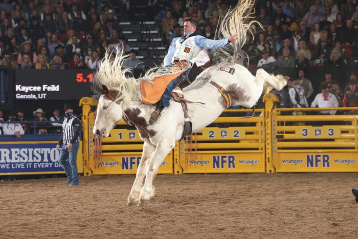 From PRCA to CBD, Bareback Legend Kaycee Feild Forges New Path While ...