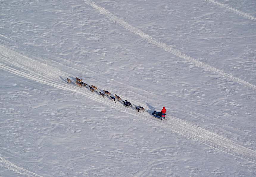 2019 Iditarod photos: Peter Kaiser wins Alaska's sled dog race - Sports ...