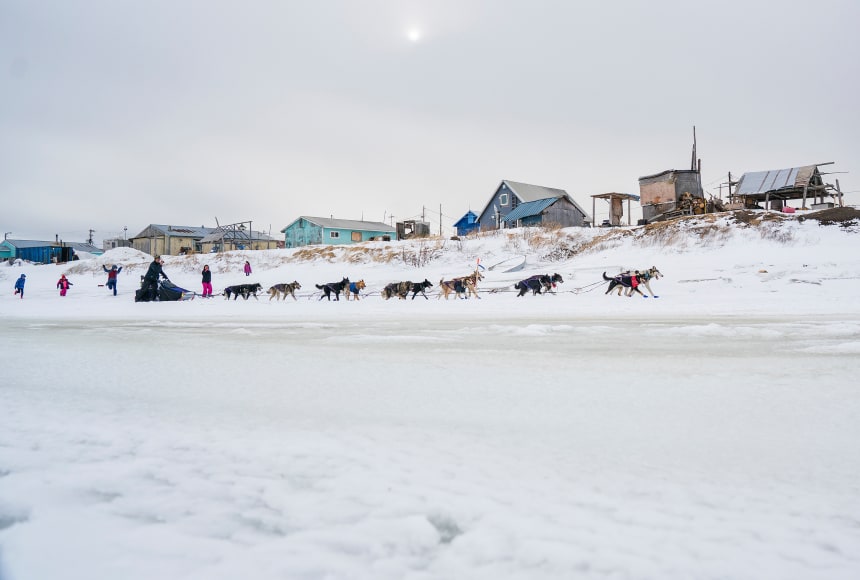 2019 Iditarod photos: Peter Kaiser wins Alaska's sled dog race - Sports ...
