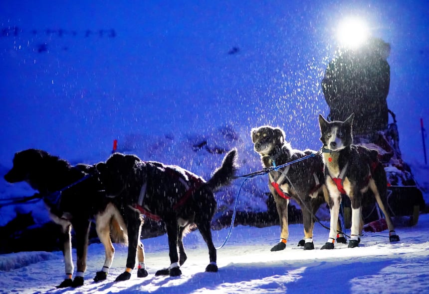 2019 Iditarod photos: Peter Kaiser wins Alaska's sled dog race - Sports ...