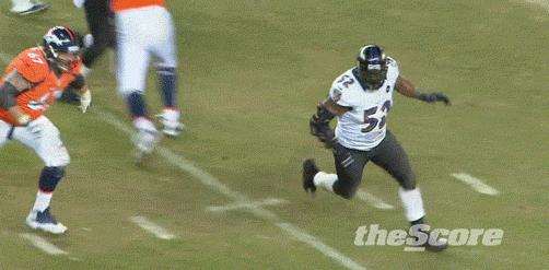 The 75 Best Animated GIFs Of The 2012 NFL Season: Part III - Sports ...
