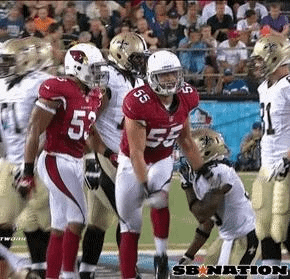The 75 Best Animated GIFs Of The 2012 NFL Season: Part II - Sports ...