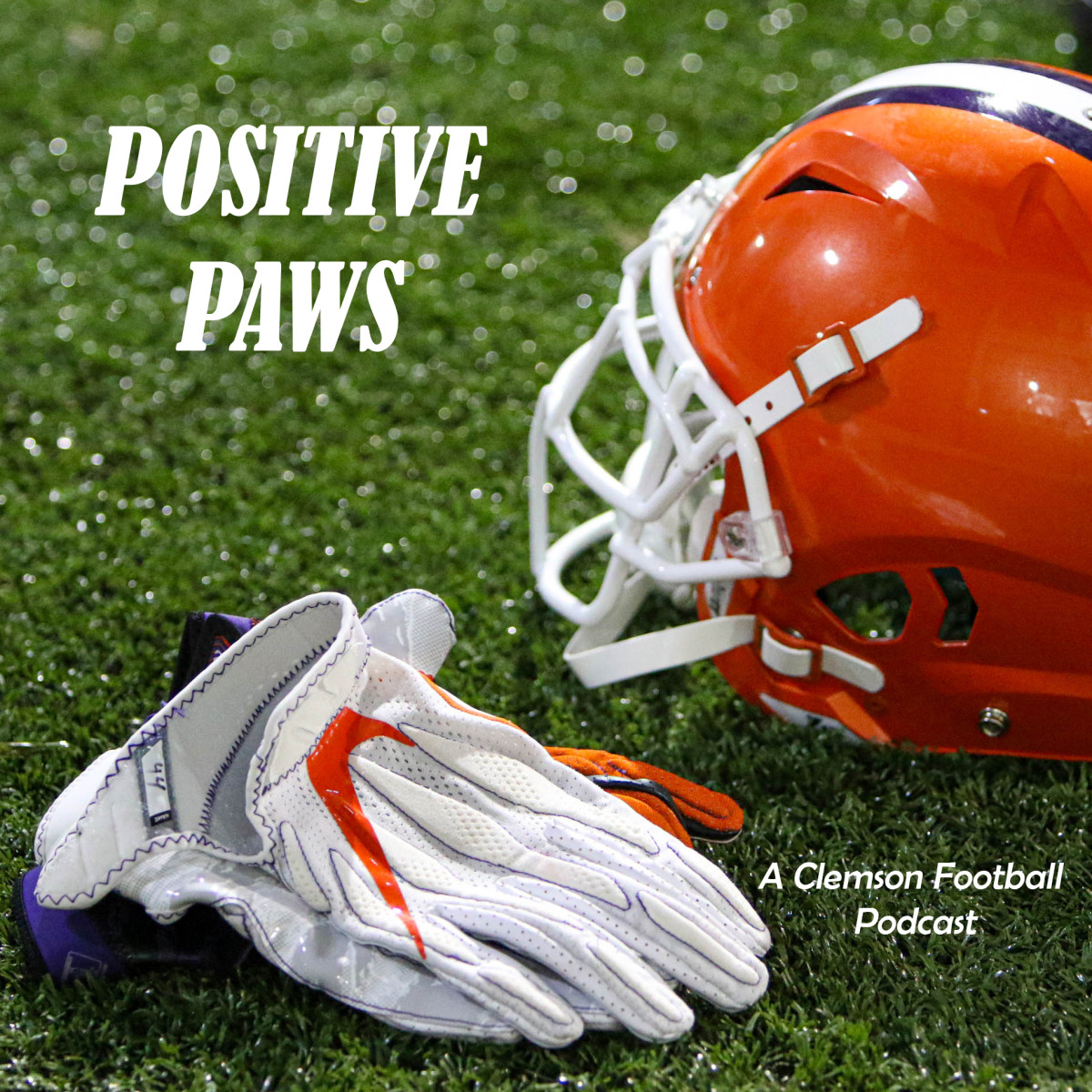 "Positive Paws" is 1 week away; and how to get our app! - Sports ...
