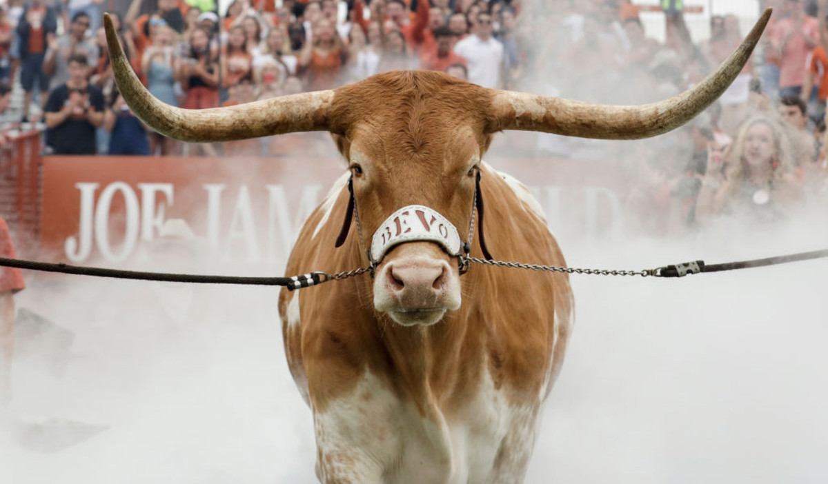 Texas officials defend mascot measure after Bevo charge at Sugar Bowl ...