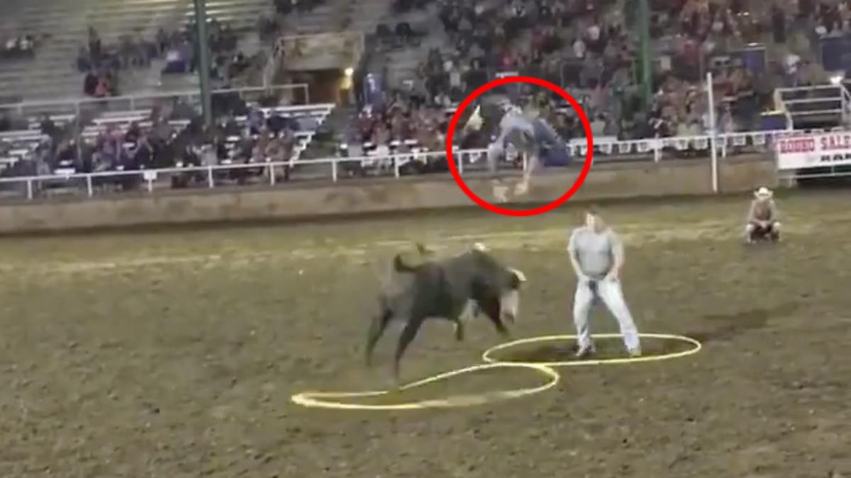 Man tossed by bull during rodeo (video) - Sports Illustrated
