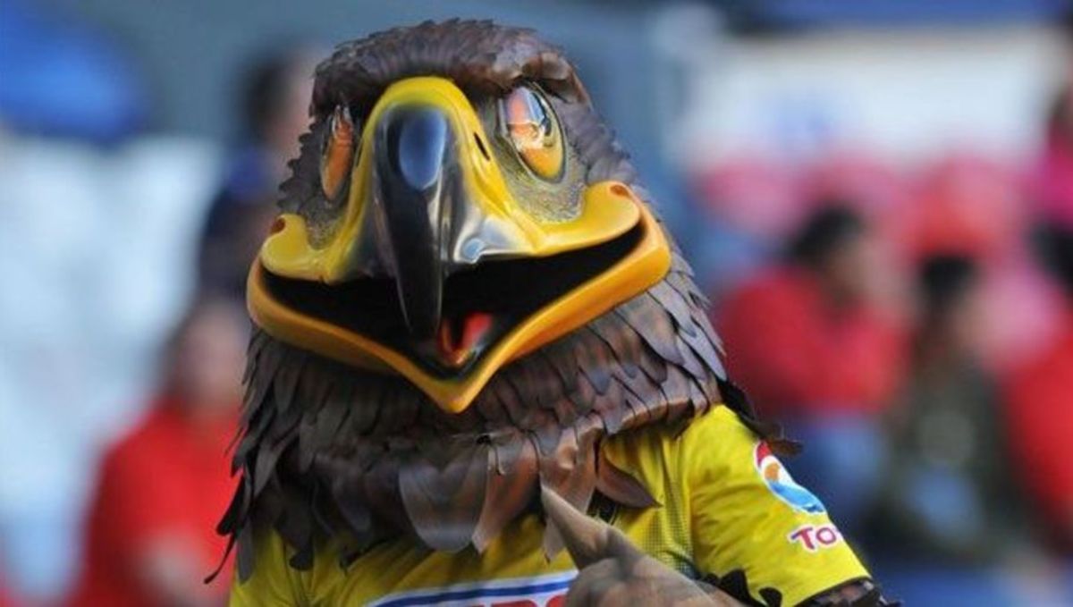 ¡NIDO DE AMOR! | 'Agui', la mascota del América, se comprometió en el ...