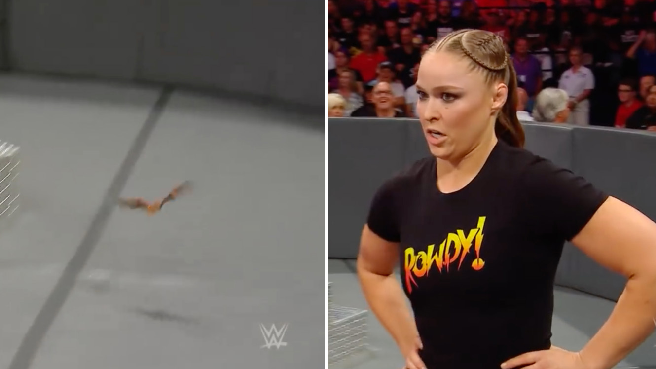 WWE Raw: Bat scares Ronda Rousey in Greensboro (video) - Sports Illustrated