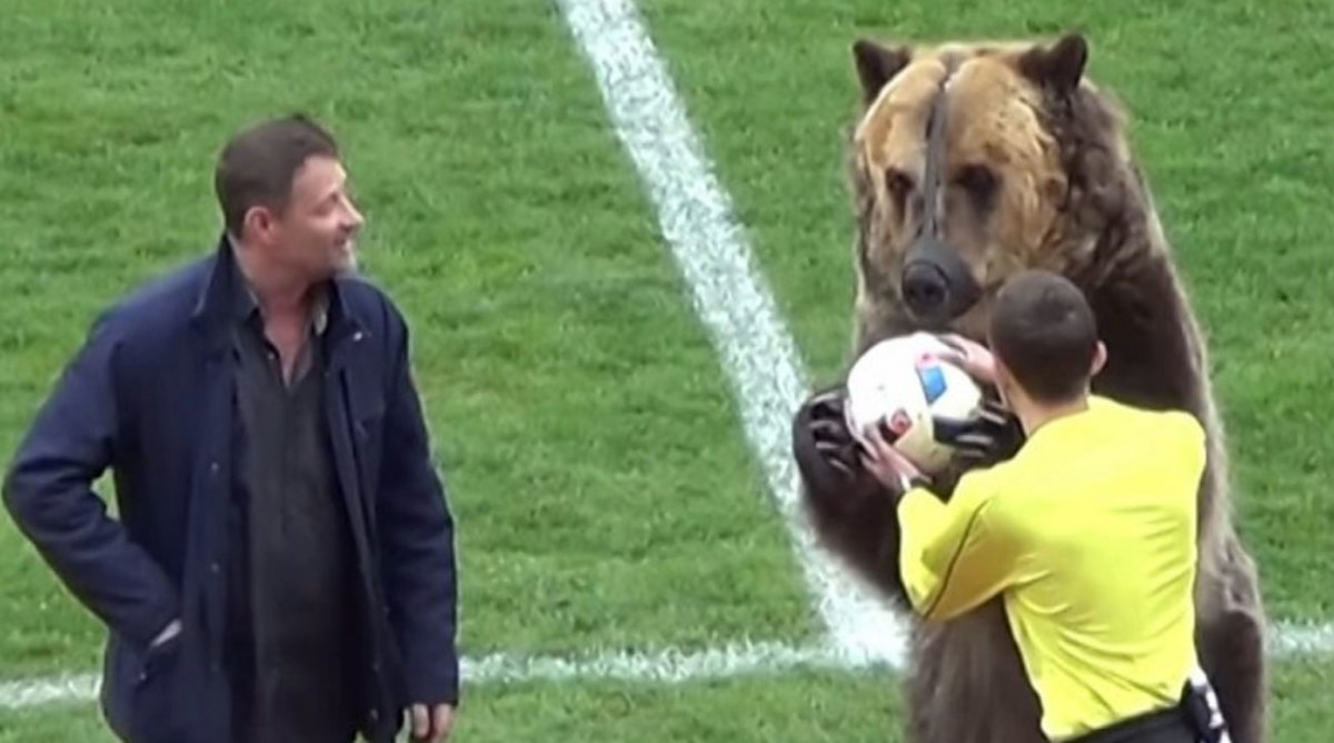 Russian club uses bear to present match ball to referee (VIDEO ...