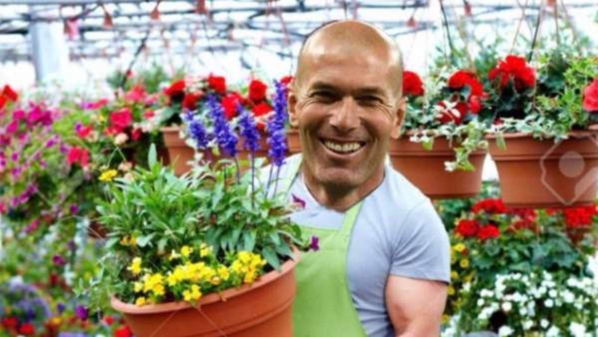 Los mejores memes de la dimisión de Zidane - Sports Illustrated