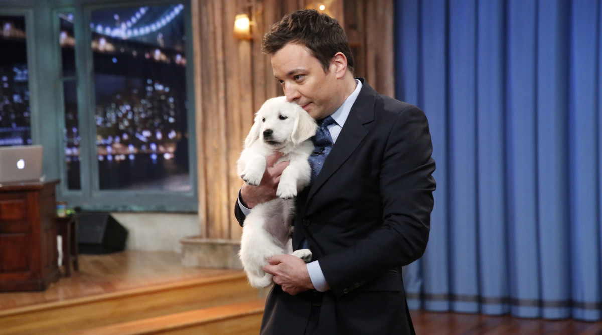Jimmy Fallon's puppies pick Falcons to win Super Bowl LI - Sports ...