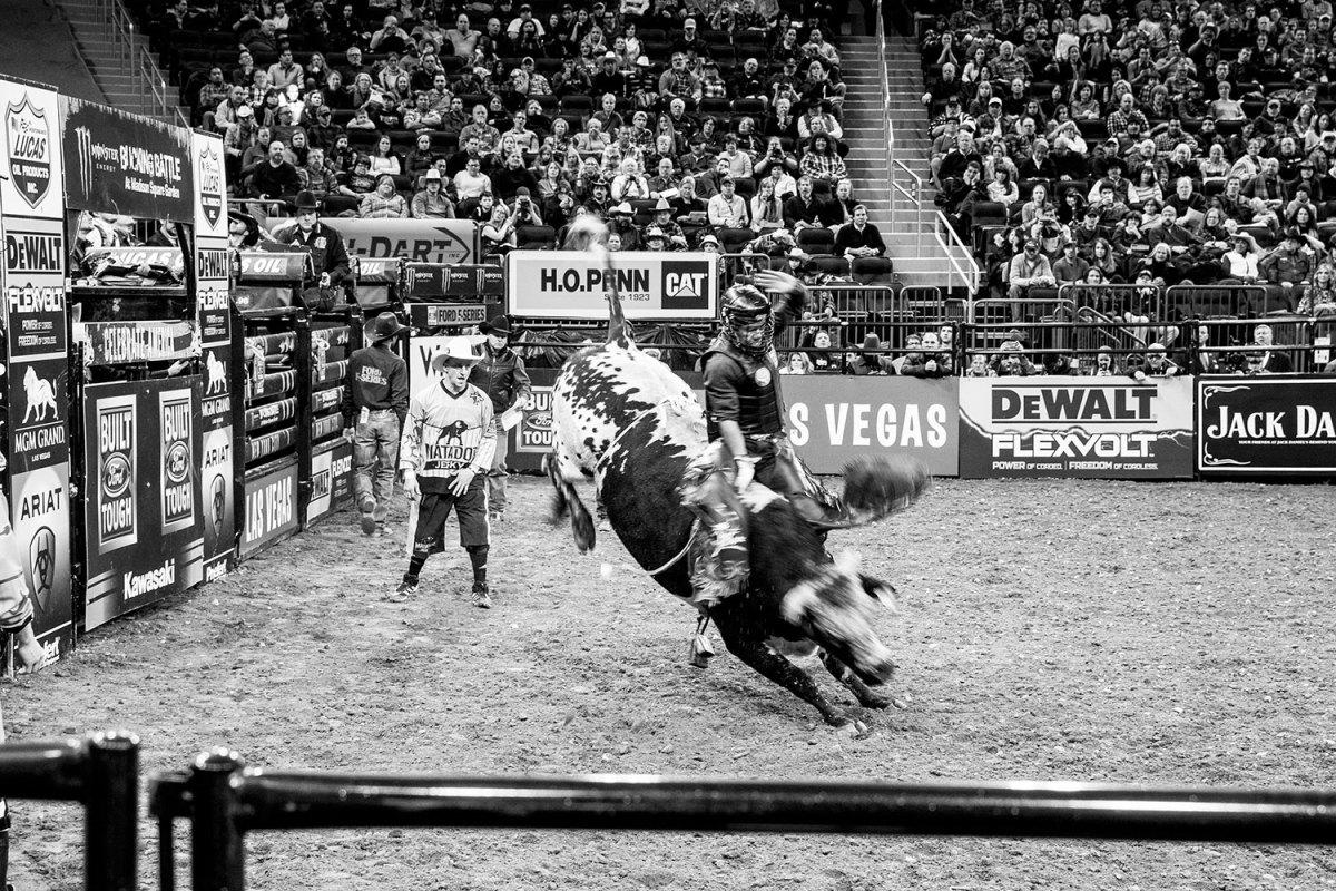 Professional Bull Riding: Behind the scenes at MSG - Sports Illustrated